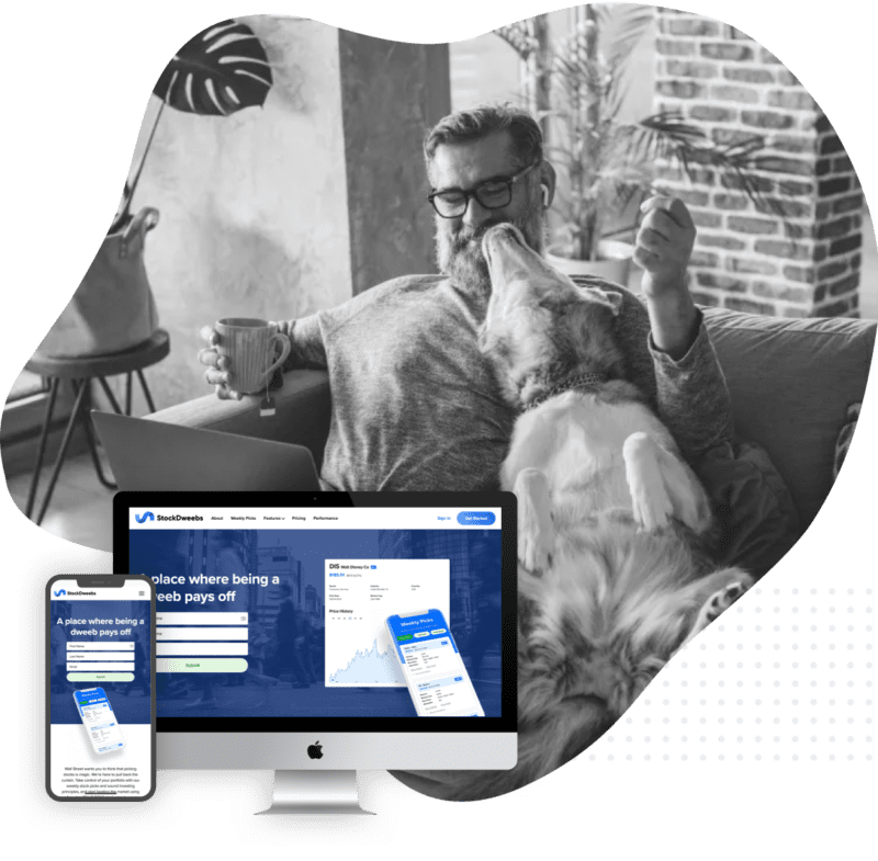 Professional Web Design Services - Sayenko Design