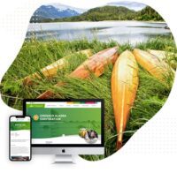 Seattle Web Design Agency & WordPress Development Services