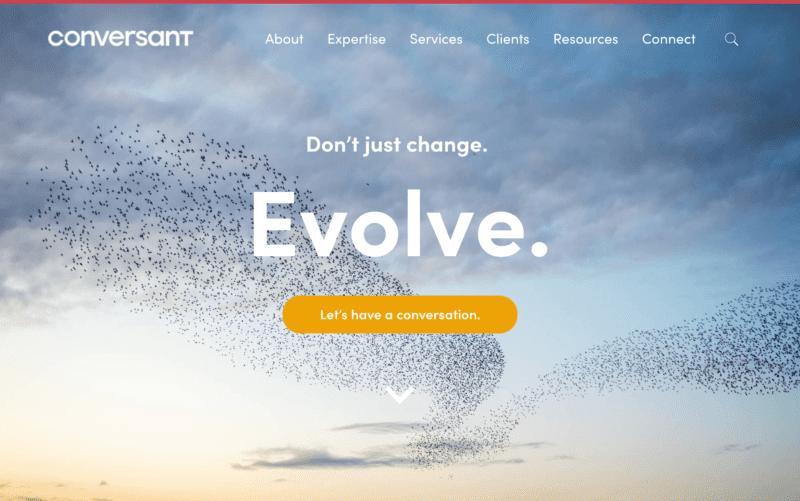 The Top 25 Best Web Design Companies in 2024